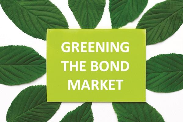 Insight Magazine | Greening the Bond Market | Amcham