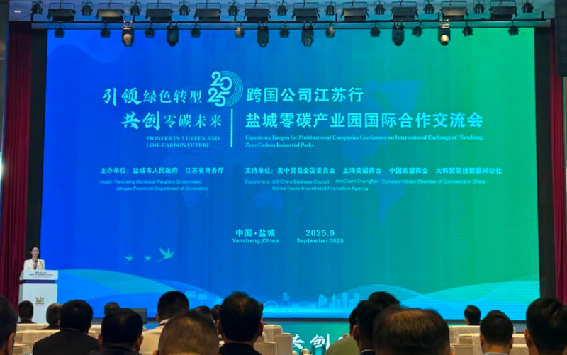 Recap | Experience Jiangsu for Multinational Companies: Conference on ...