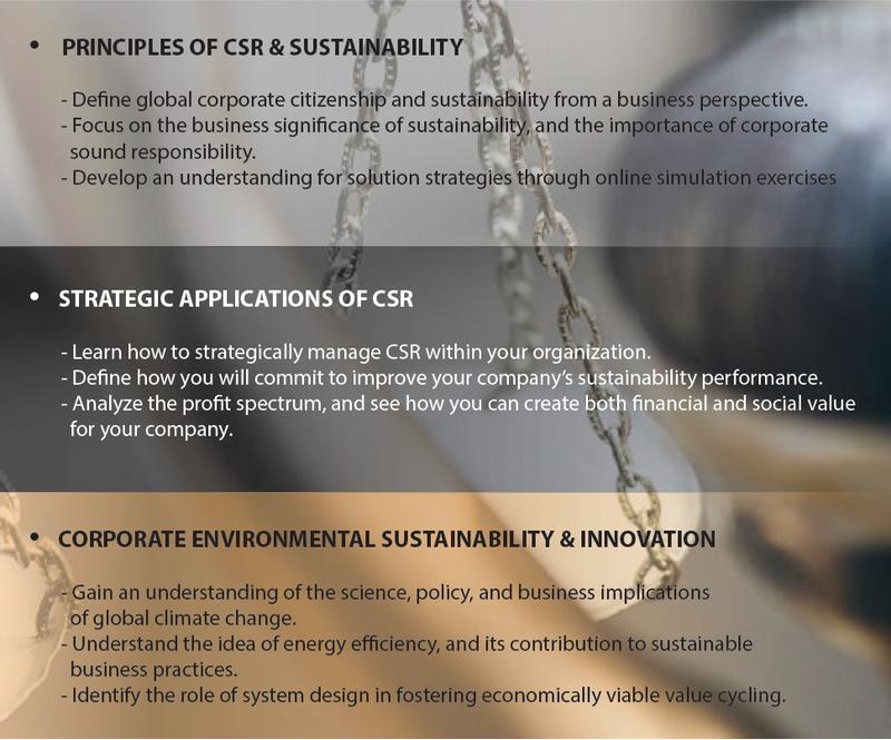 Online Executive Certificate in CSR | Amcham