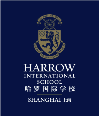 Meet our SME members: K12 Education | Amcham