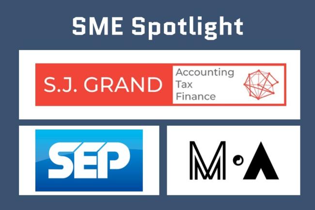 Meet our SME Members: Management Consulting | Amcham